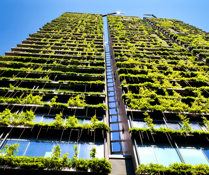 Going Green: The Path to Data Center Efficiency and Sustainability