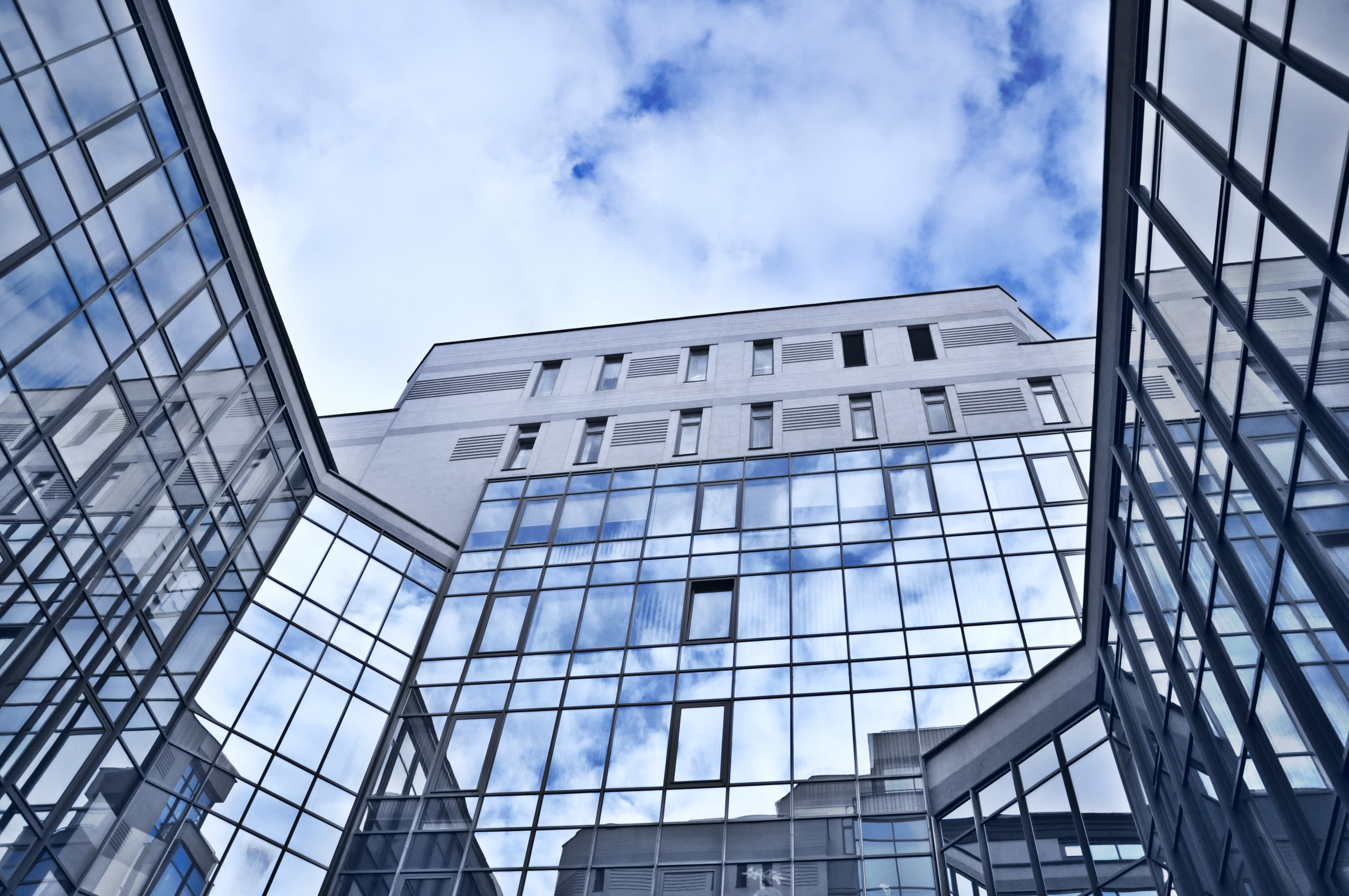 The Future of the Workplace: A Conversation with Giulia Marcolina ...